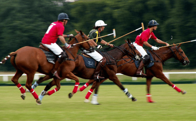 What are the roles of players in a polo match? - Parivrai